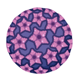 Les condylomes : causes, examens et traitements | KitPatient